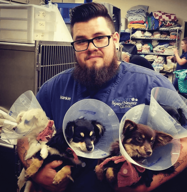 Surgery - Vet in Kingman | Humane Society of Mohave County